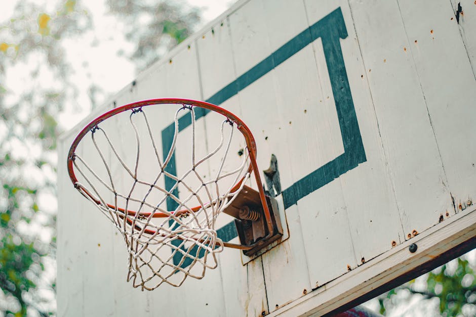 Submitting AP Scores: Everything You Need to Know