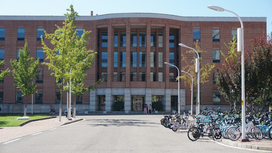 College Academic Environment: What to Consider When Choosing a School
