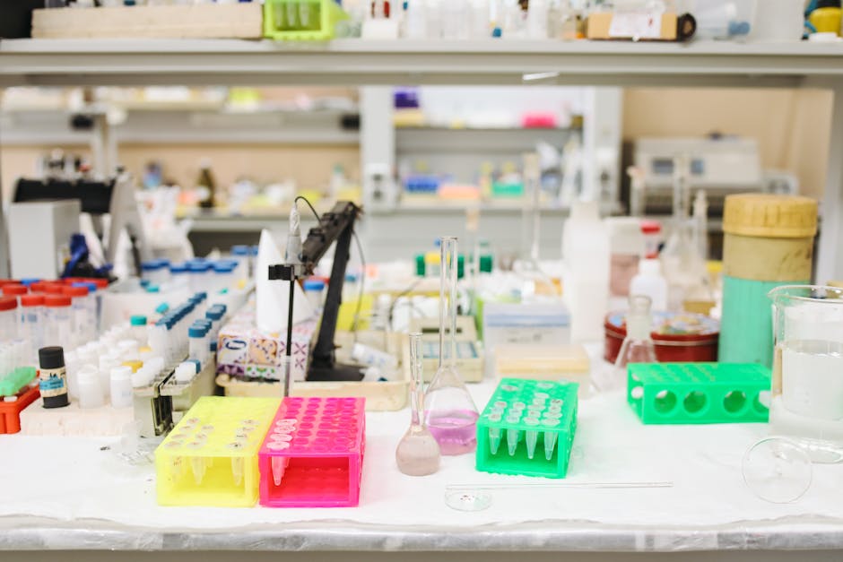 GPA & Test Scores: What They Mean & How They Impact College Admissions