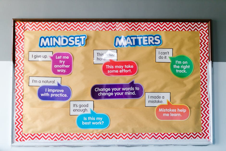 School Resources for Academic Success: A Guide for Students